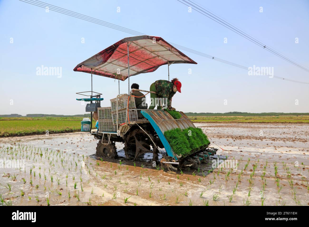 Tangshan city - May 29: rice planting mechanization operation in the ...
