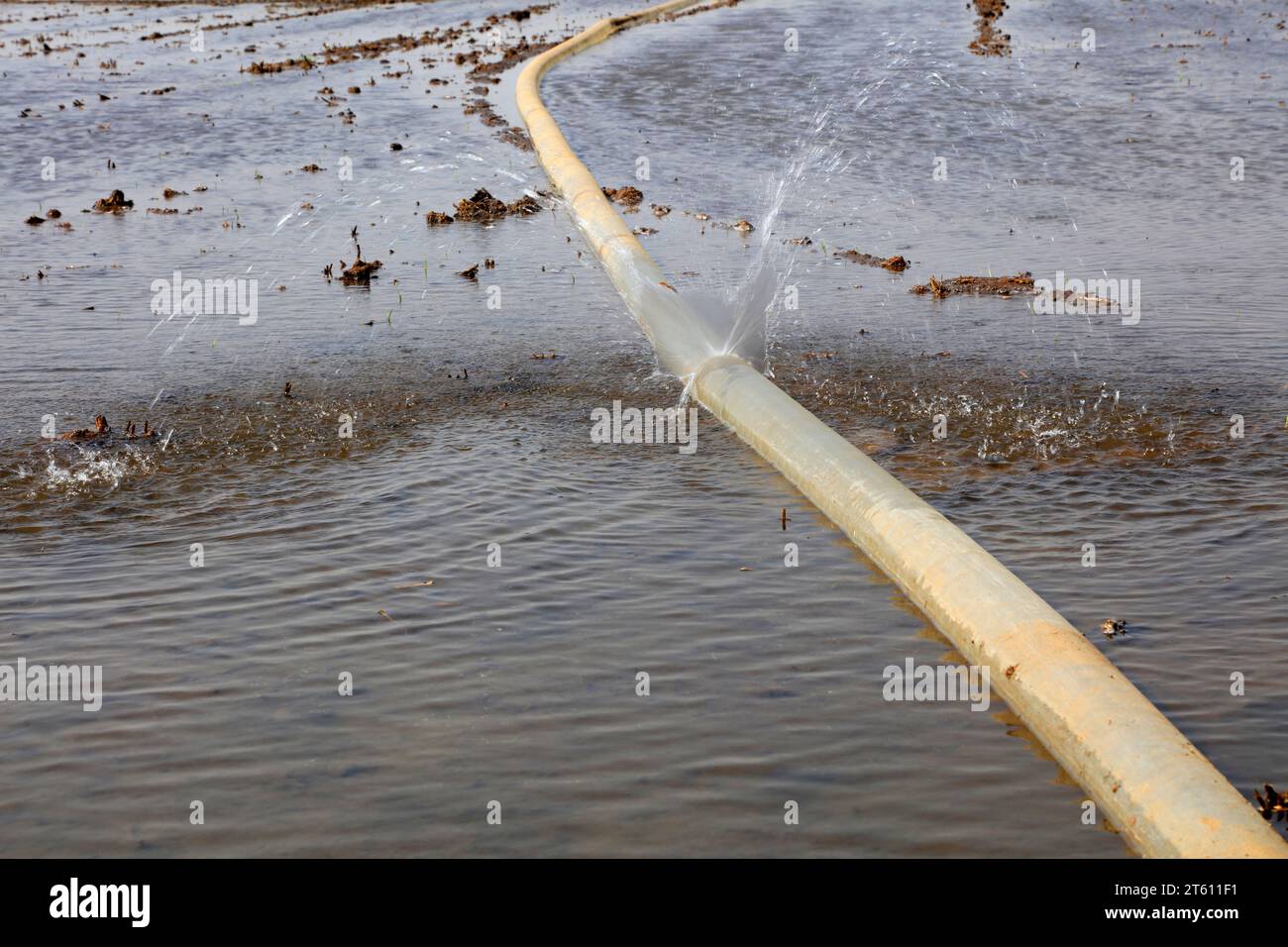 water pipe leaking out of doors Stock Photo - Alamy