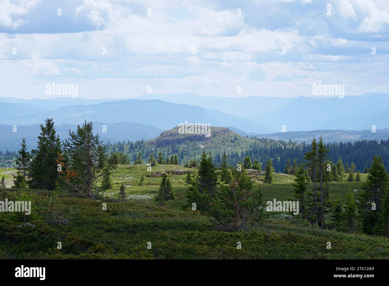 Mountain landscape Gol, Norway Stock Photo - Alamy
