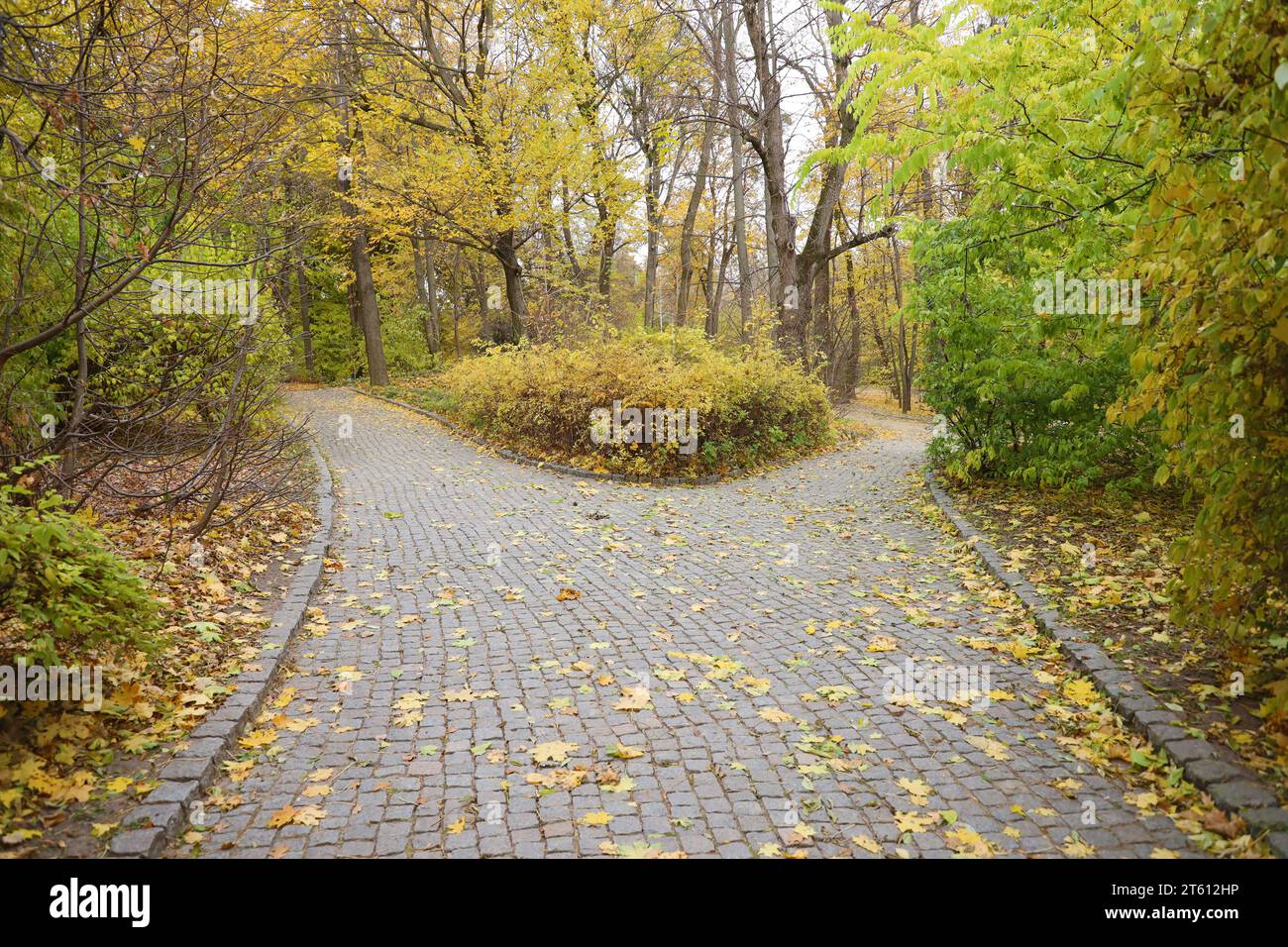 Beautiful Nature Autumn landscape. Scenery view on autumn city park ...