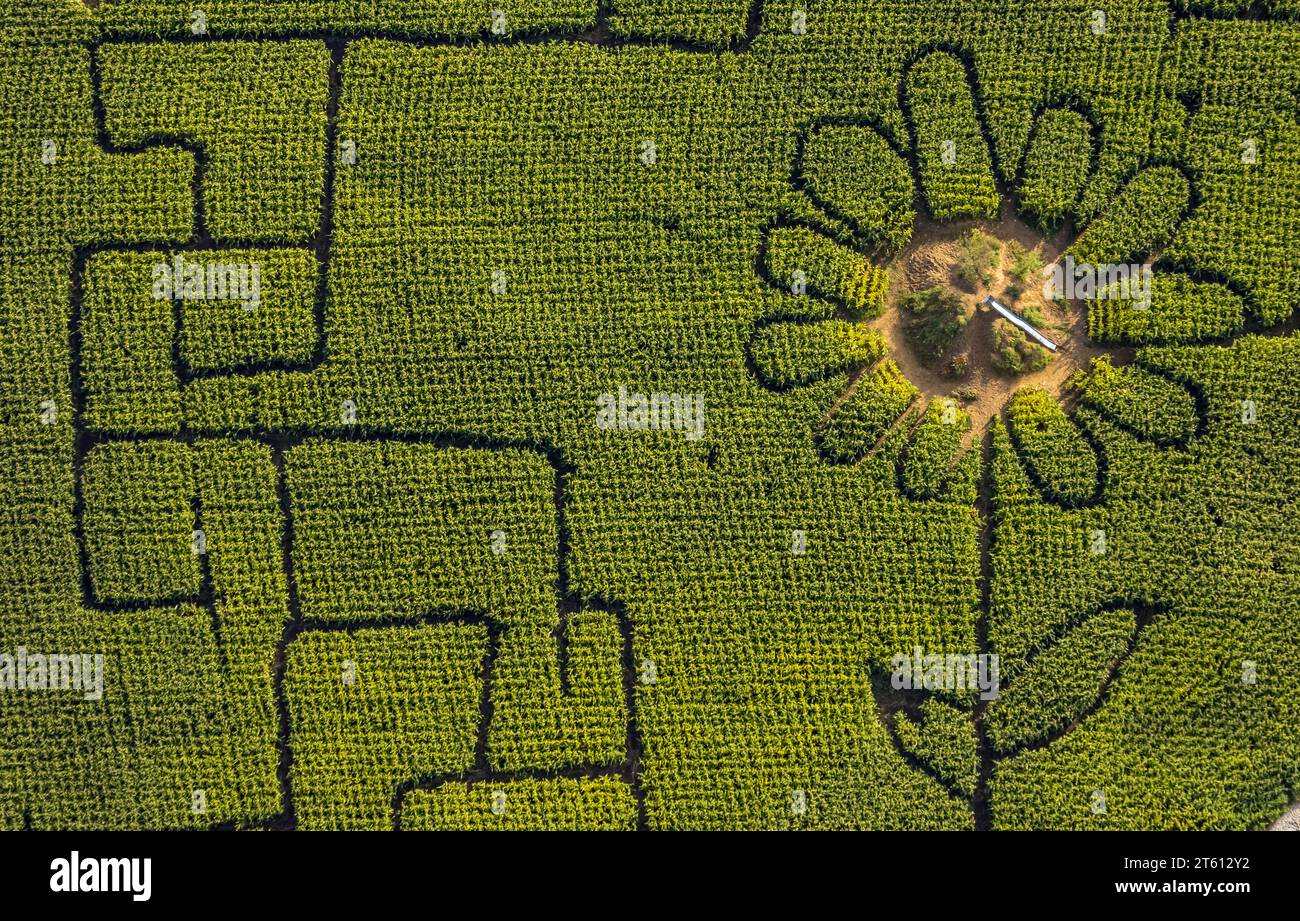 Corn maze aerial hi-res stock photography and images - Alamy