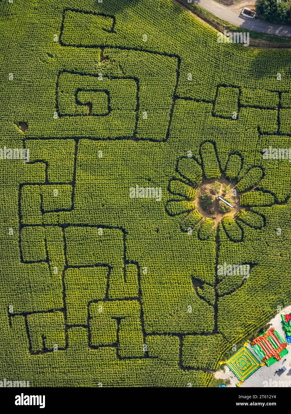 Aerial view, corn maze Terhardt and amusement park, sunflower in the ...