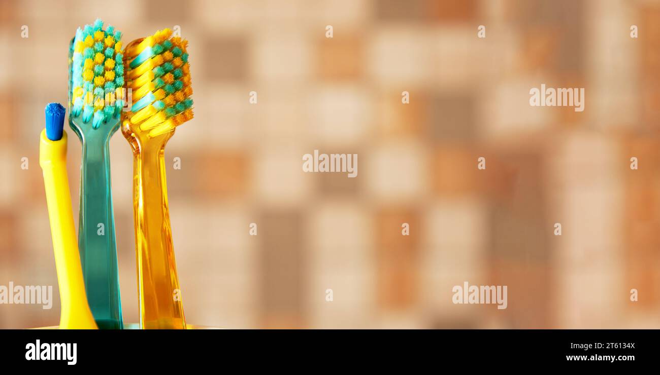 Wide banner with colorful family toothbrushes and blurred tiles on the ...