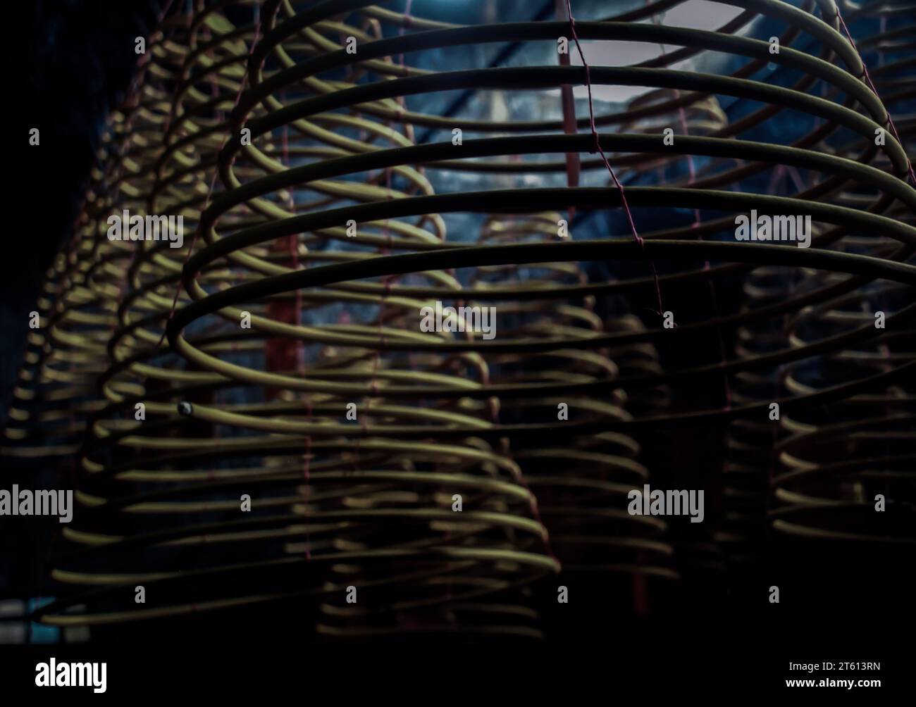 Multiple large yellow incense coils hanging in stacks from the Ceiling ...