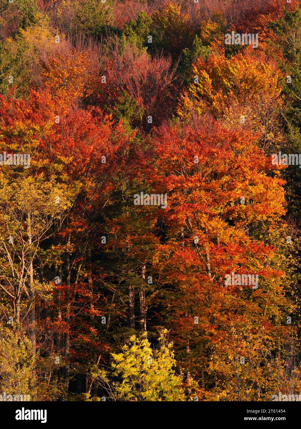 Peilstein hi-res stock photography and images - Alamy