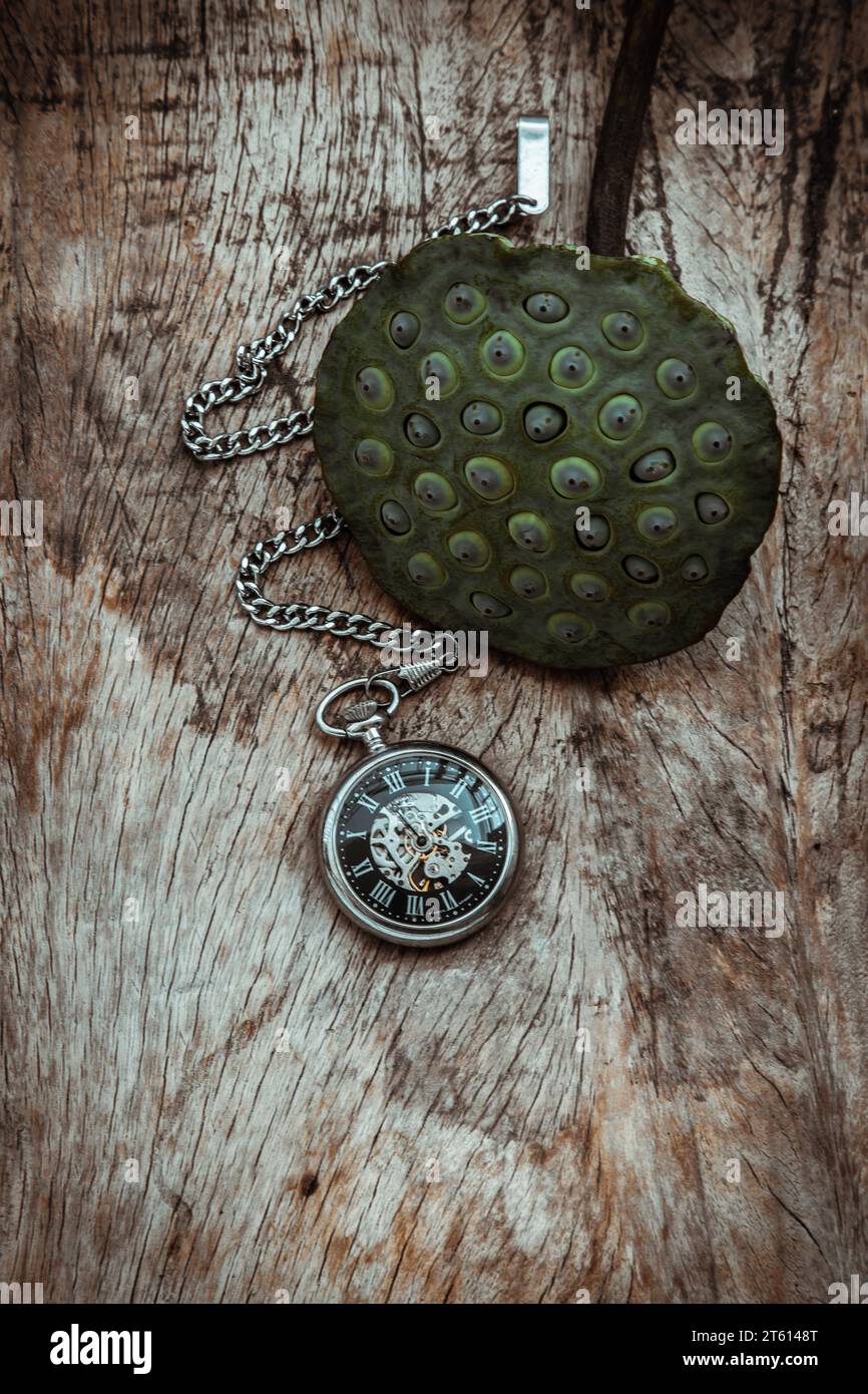 A retro pocket watch and Fresh green lotus seed pods on old wooden ...