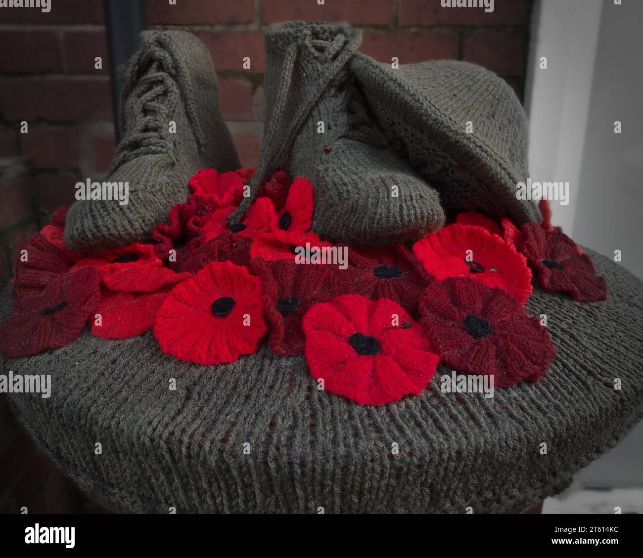 Wellesbourne, Warwickshire, UK. 6th Nov 2023. 8000 knitted poppies ...