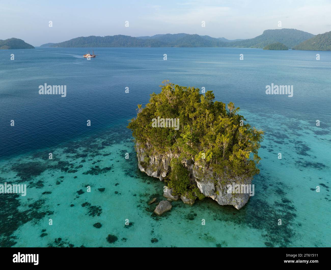 A limestone island, covered by tropical vegetation, is fringed by coral ...