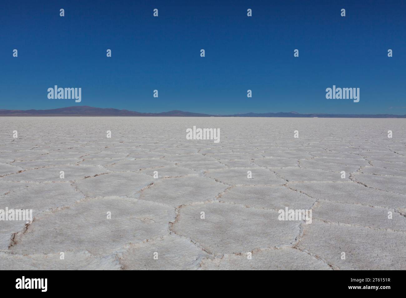 White saltaaltiplano hi-res stock photography and images - Alamy