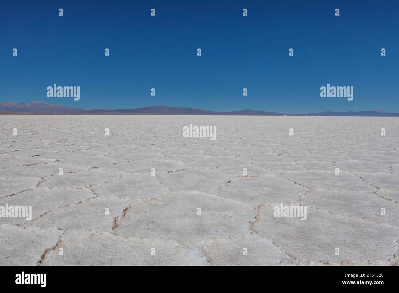 Salinas Grandes salt flat in Salta, Andes, North Argentina, South ...