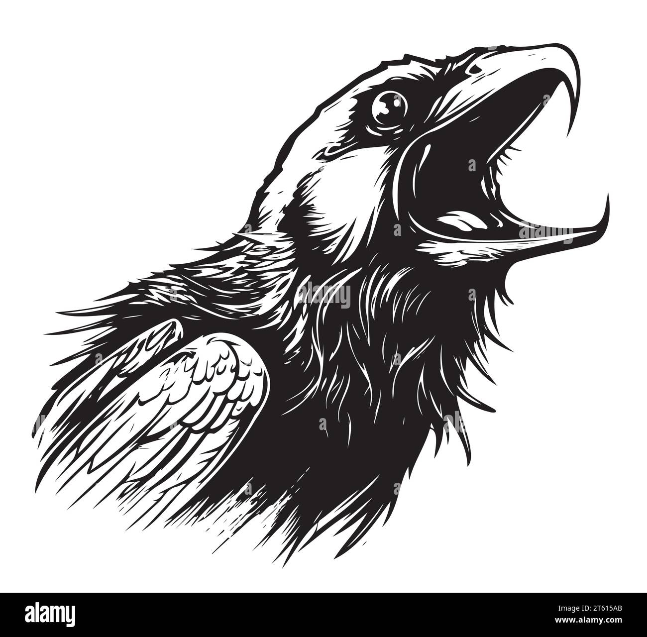 Hand drawn face of crow. Raven tattoo illustration mascot art bird ... Hand drawn face of crow. Raven tattoo illustration mascot art bird ...