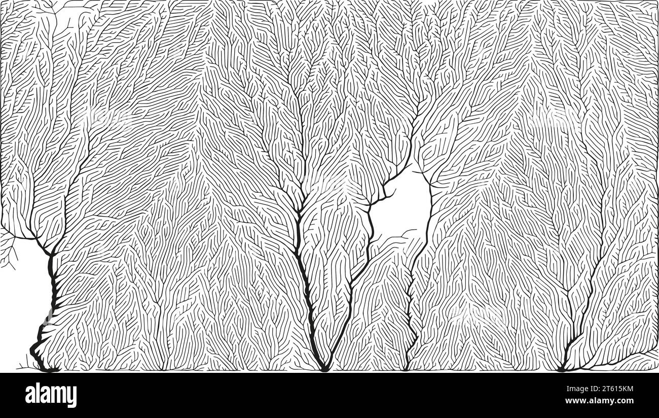 Growth pattern. Generative branching structure. Organic net of vessels ...