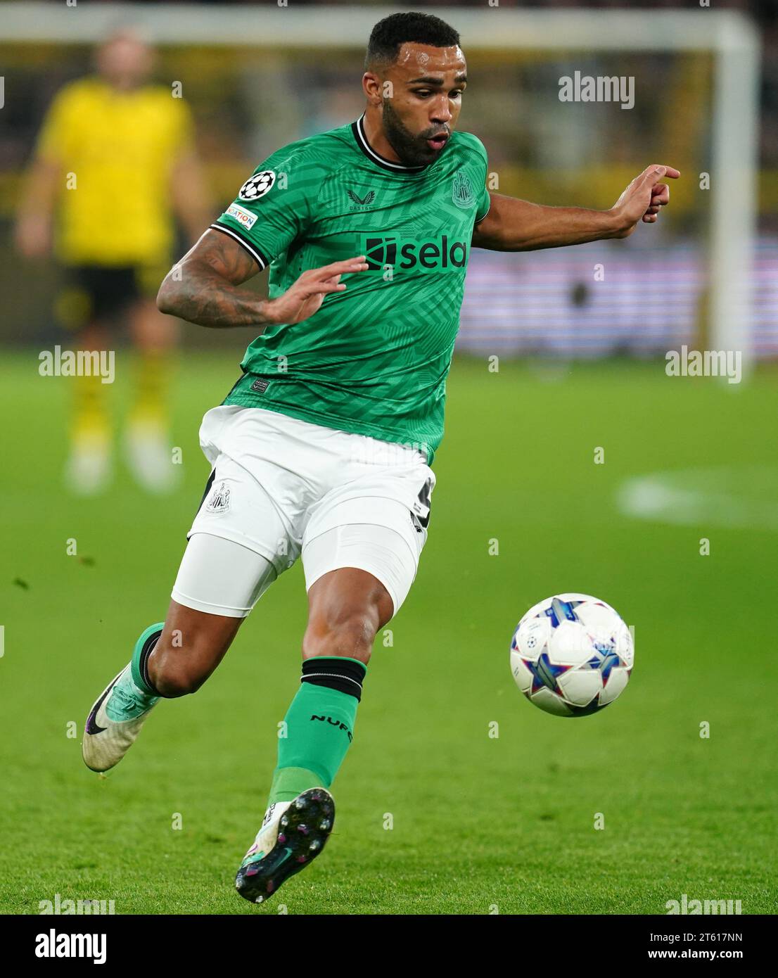 Newcastle United's Callum Wilson during the UEFA Champions League Group ...