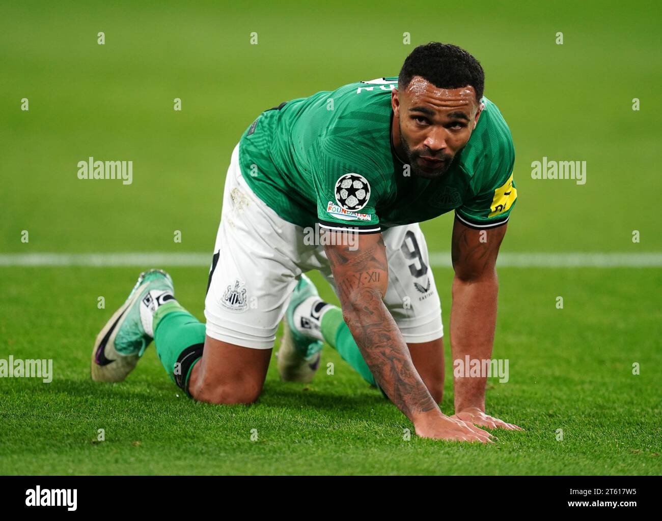 Newcastle United's Callum Wilson during the UEFA Champions League Group ...