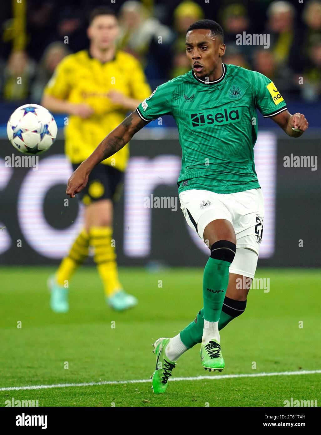 Newcastle United's Joe Willock during the UEFA Champions League Group F ...