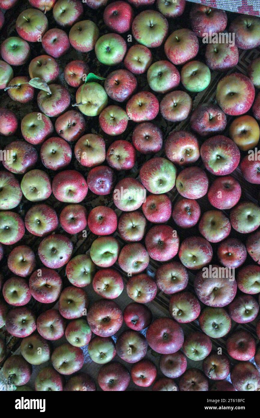 Set of apple trees hi-res stock photography and images - Alamy