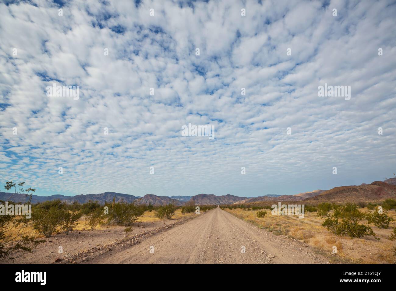 Beautiful natural landscapes in Baja California, Mexico Stock Photo - Alamy