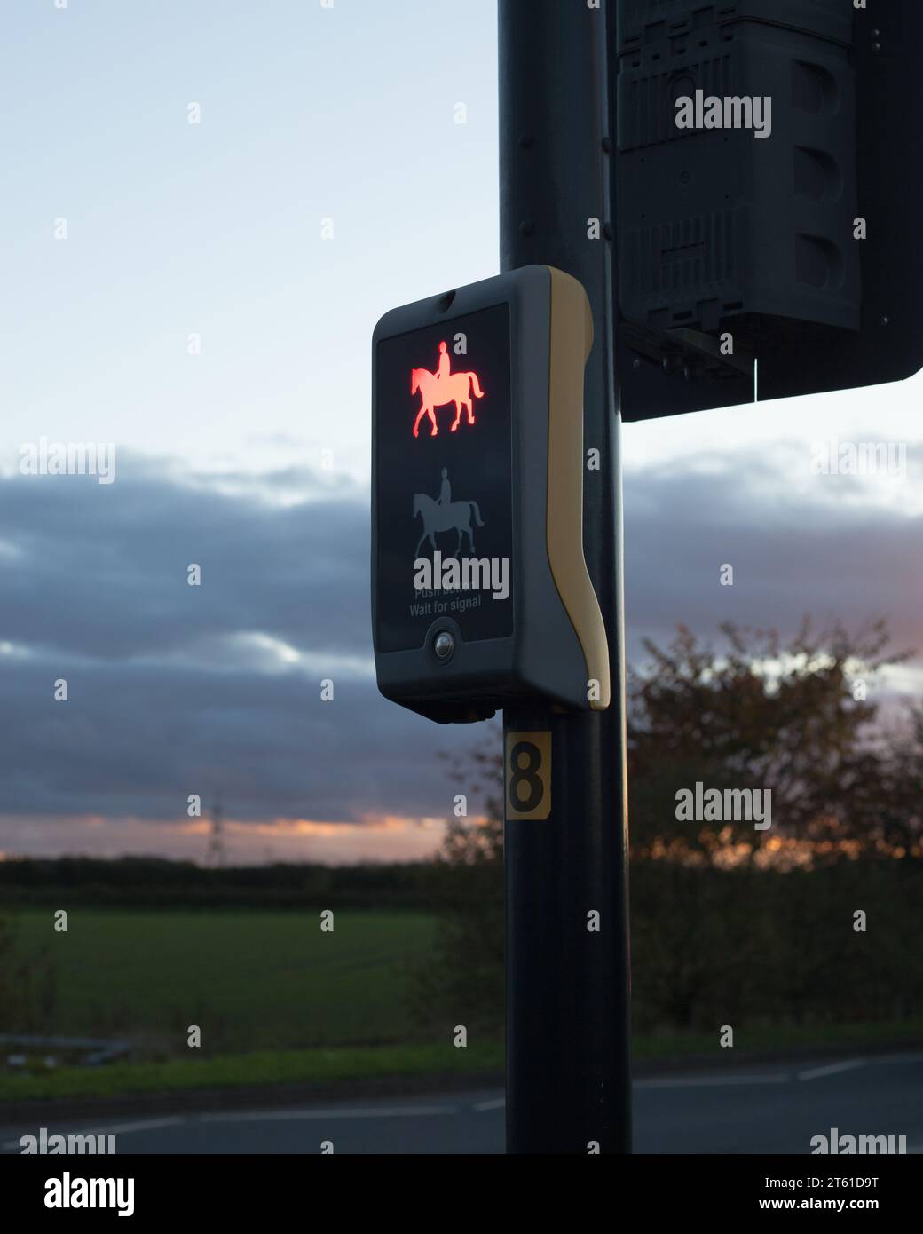 Horse pelican crossing sign on bypass Stock Photo - Alamy