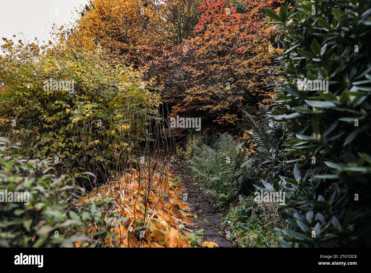Moody autumn landscape. Garden, park in fall. Autumn park under ...