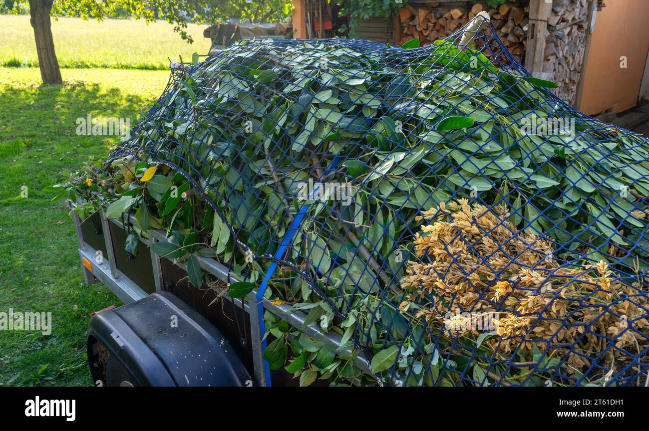 Trailer with garden waste in autumn Stock Photo - Alamy