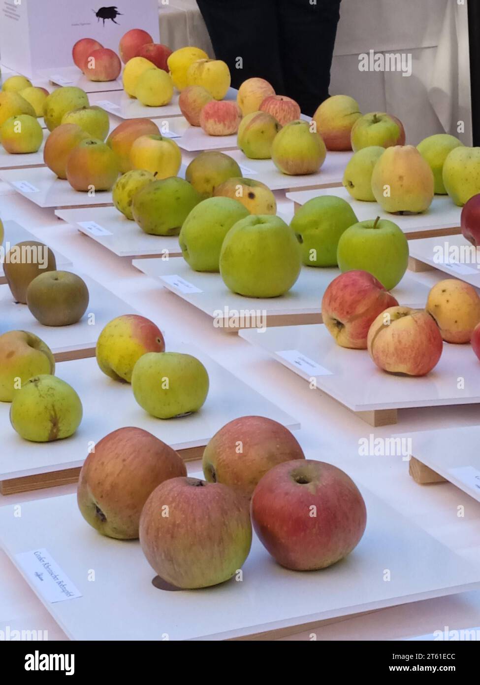 Apple As An Edible Fruit And Part Of A Healthy Diet Apple As An Edible ...