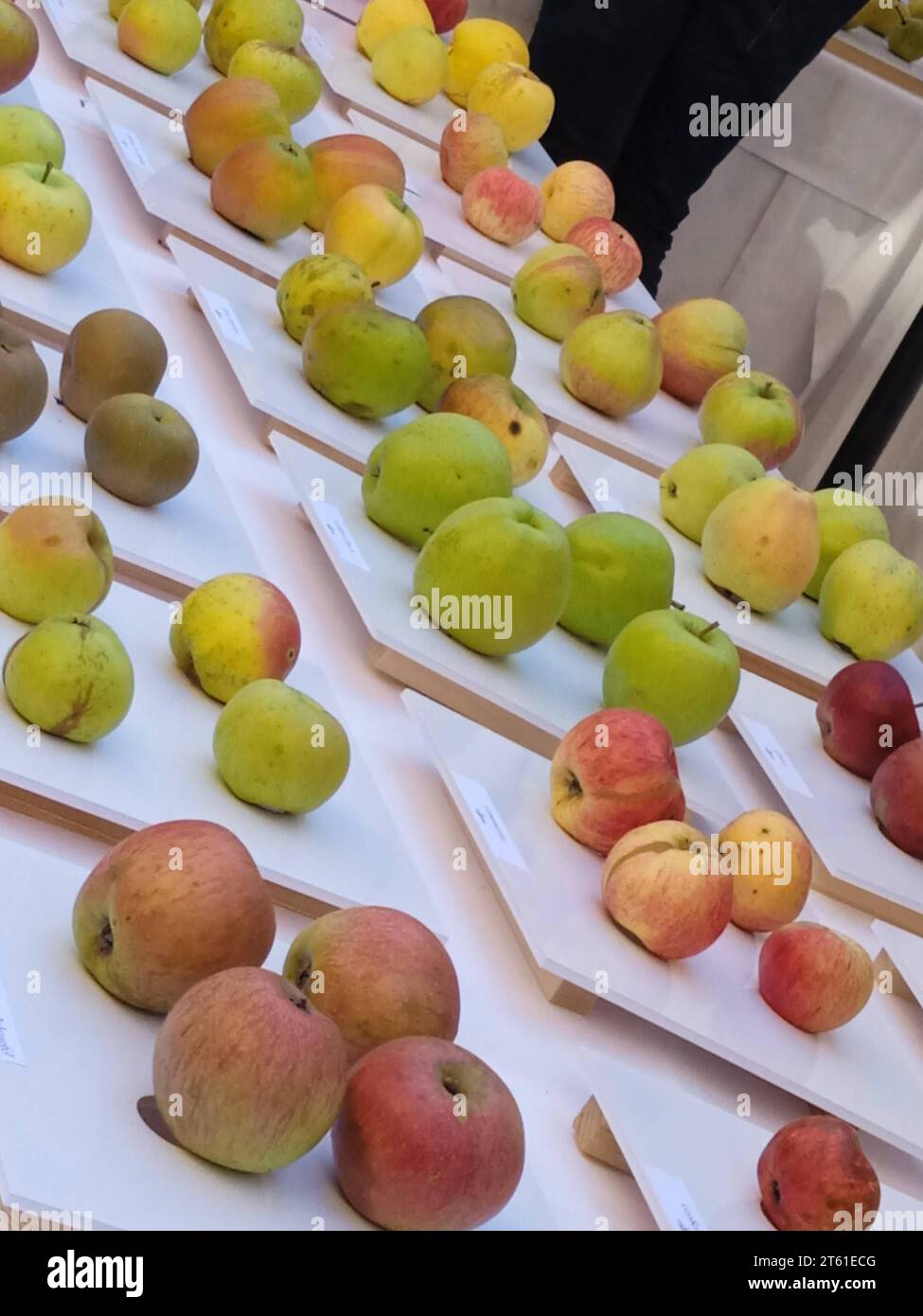 Apple As An Edible Fruit And Part Of A Healthy Diet Apple As An Edible ...