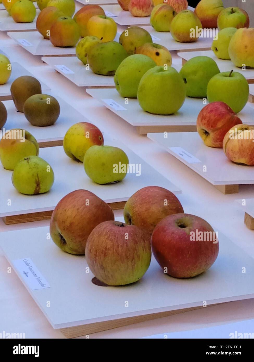 Apple As An Edible Fruit And Part Of A Healthy Diet Apple As An Edible ...