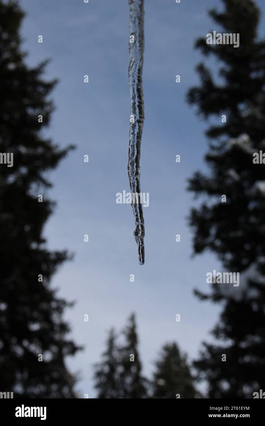 Isolated single icicle outdoor against a blue sky surrounded by blurred ...