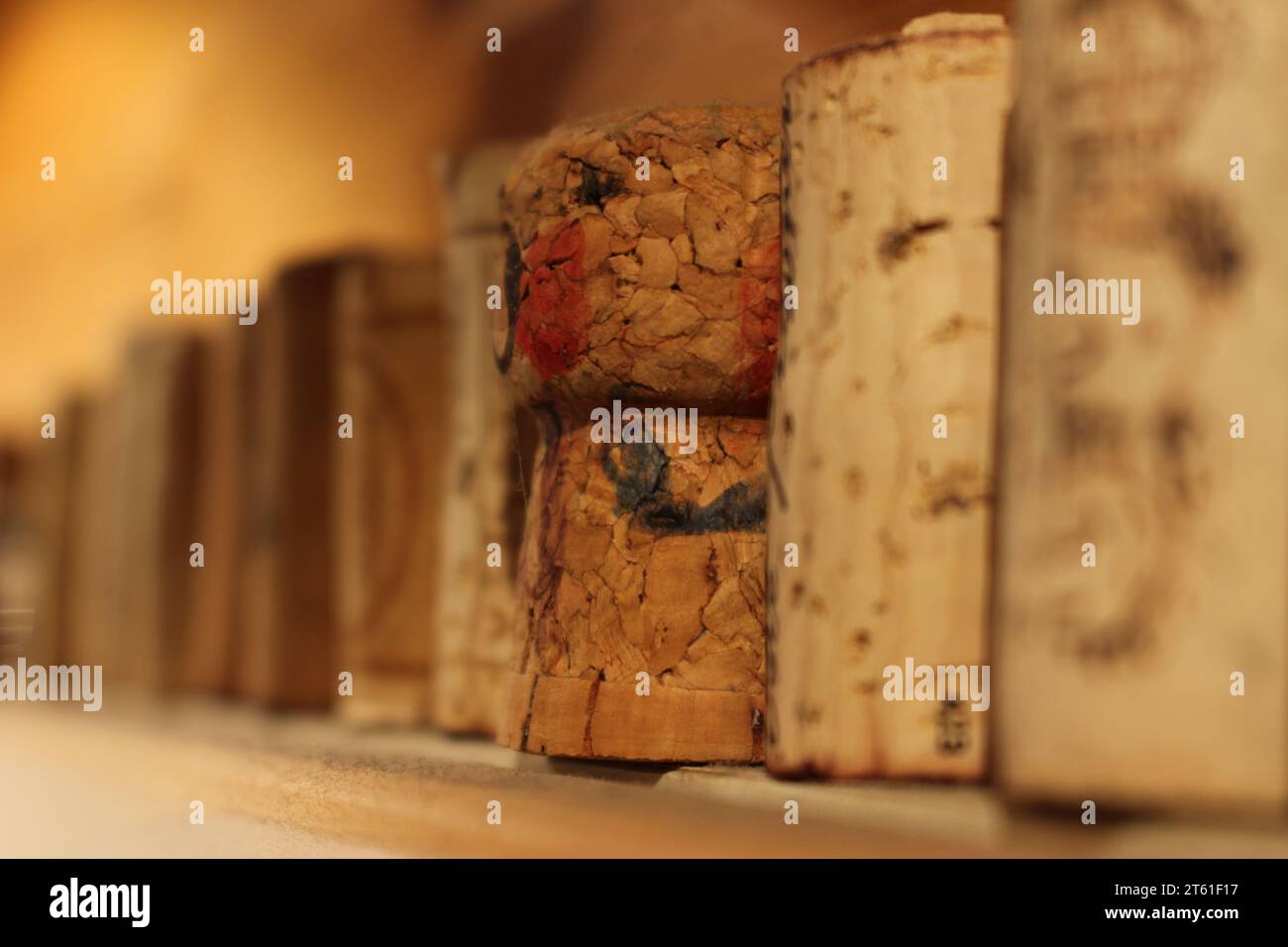 Vanishing line of corks with one in select focus. Concept for wine ...