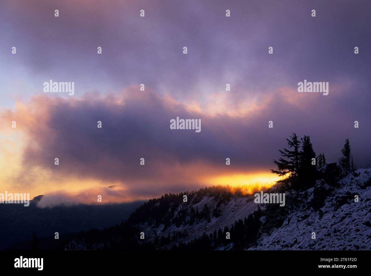 Sunrise along Bear Creek Mountain Trail, Goat Rocks Wilderness ...