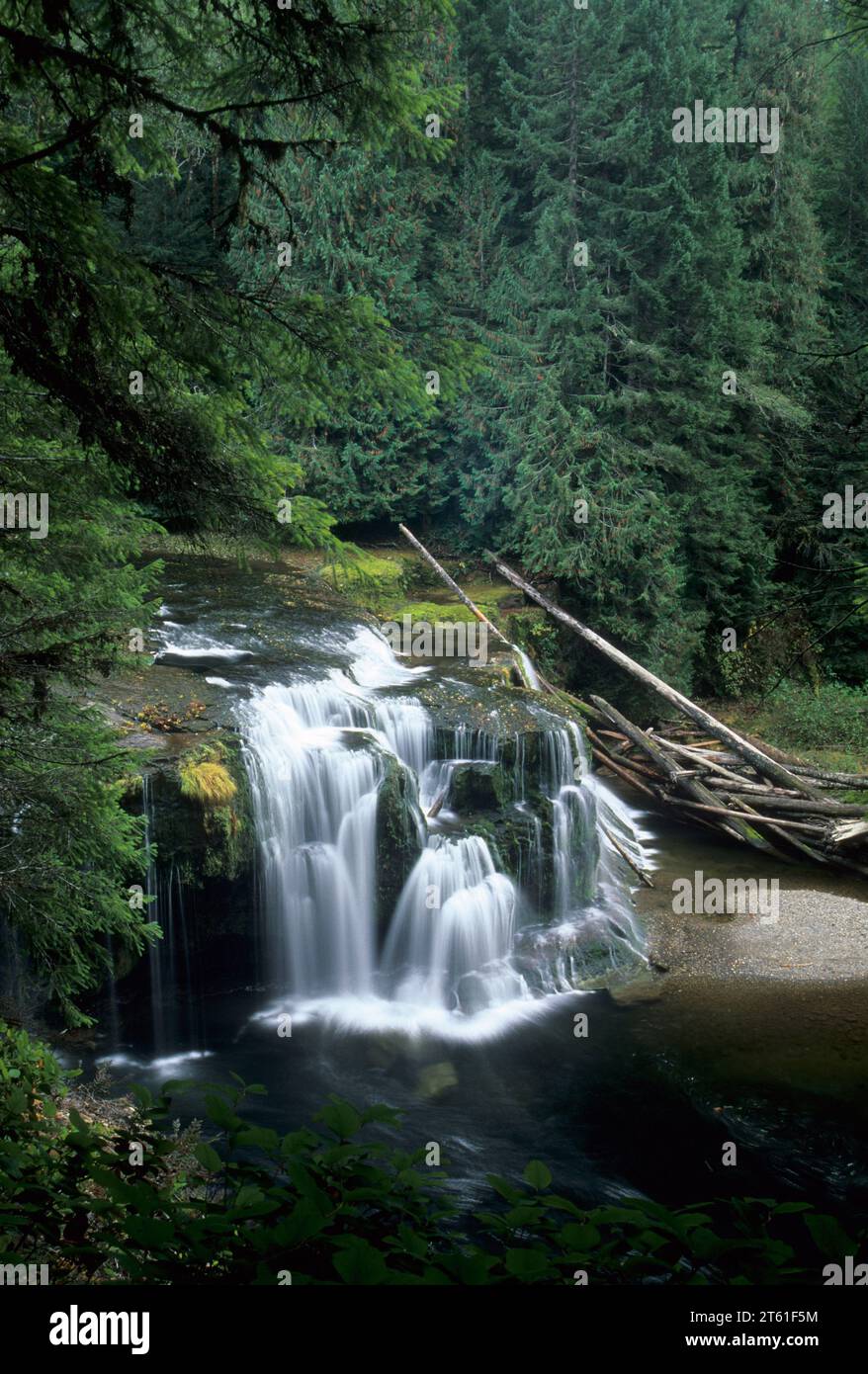 Lower Lewis River Falls, Gifford Pinchot National Forest, Washington ...