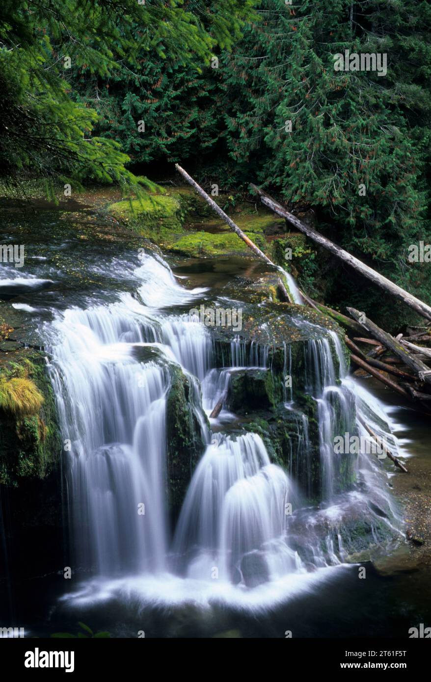 Lower Lewis River Falls, Gifford Pinchot National Forest, Washington ...