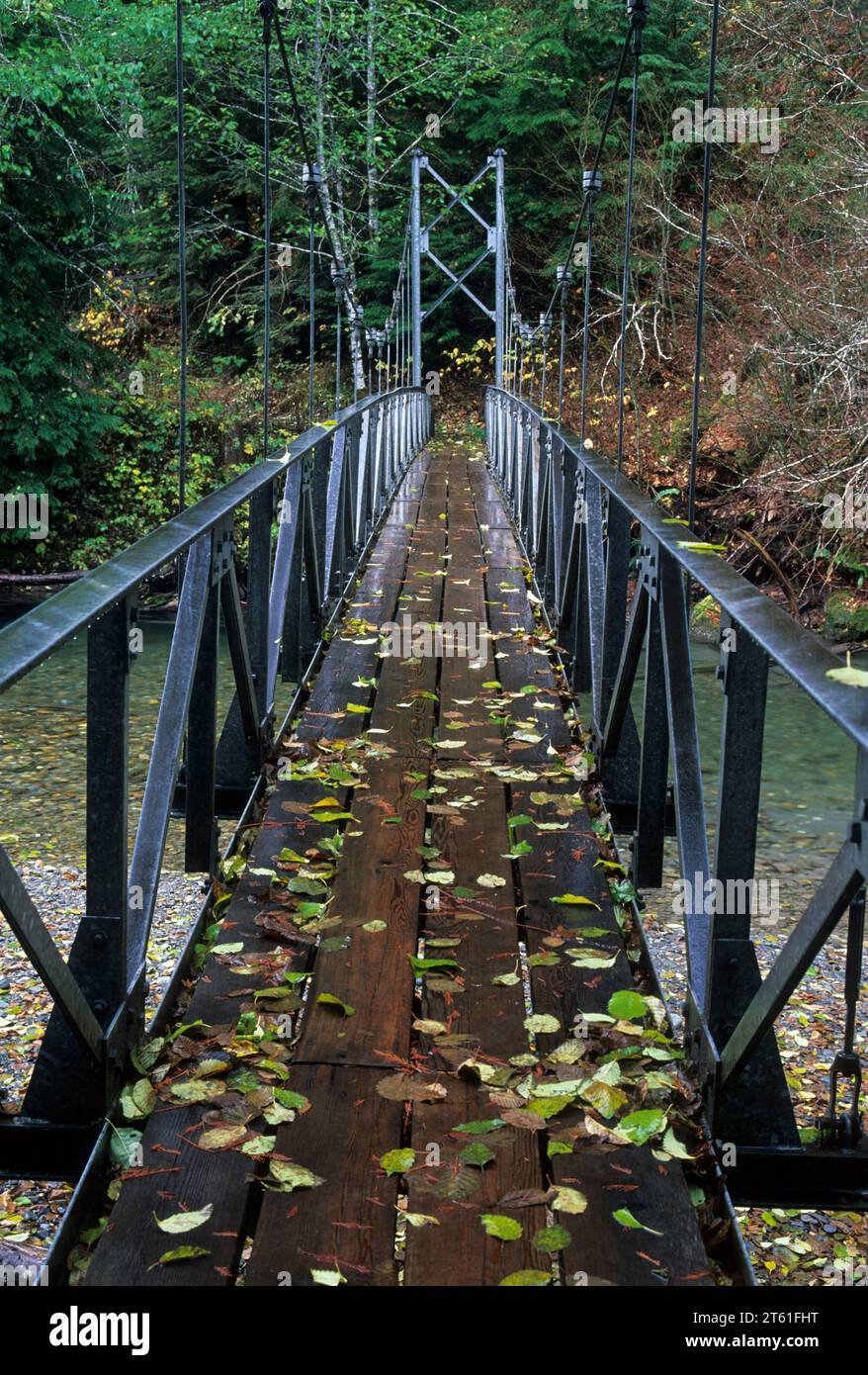 Ohanapecosh River bridge on Grove of the Patriarchs Trail, Mt Rainier ...