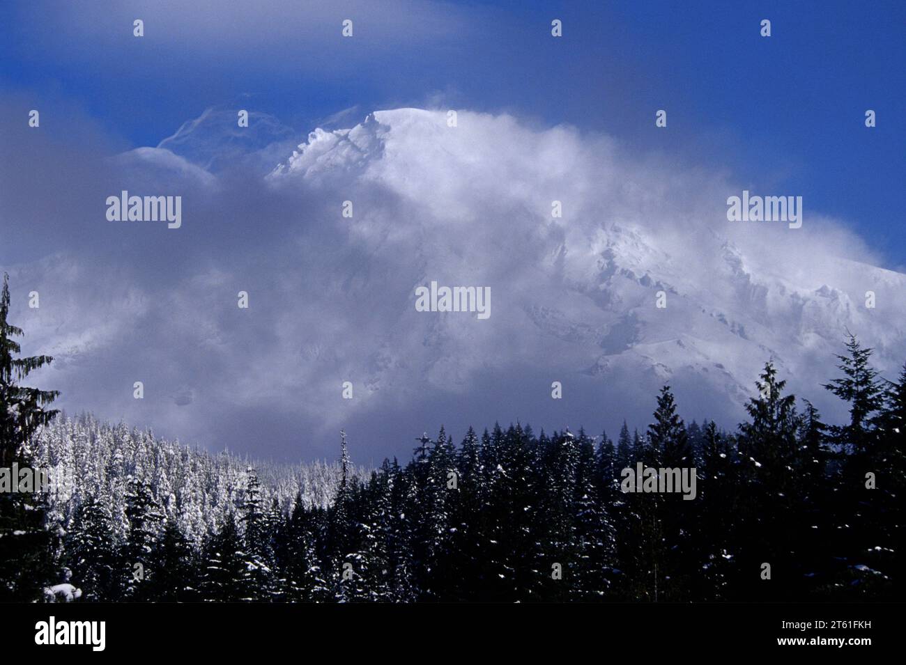 Mt Rainier from Longmire, Mt Rainier National Park, Washington Stock ...