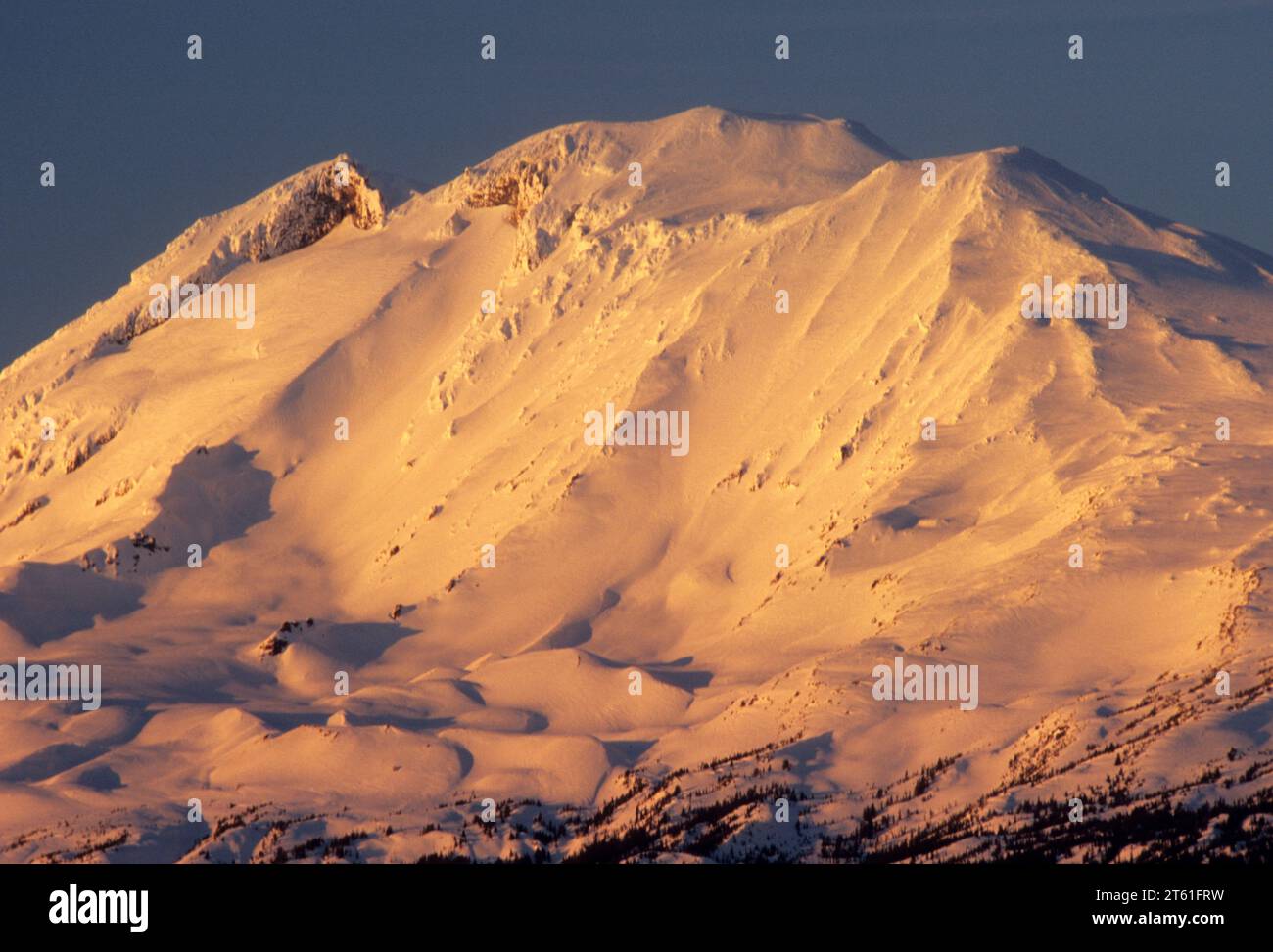 Mt Adams view, Trout Lake Natural Area Preserve, Washington Stock Photo ...