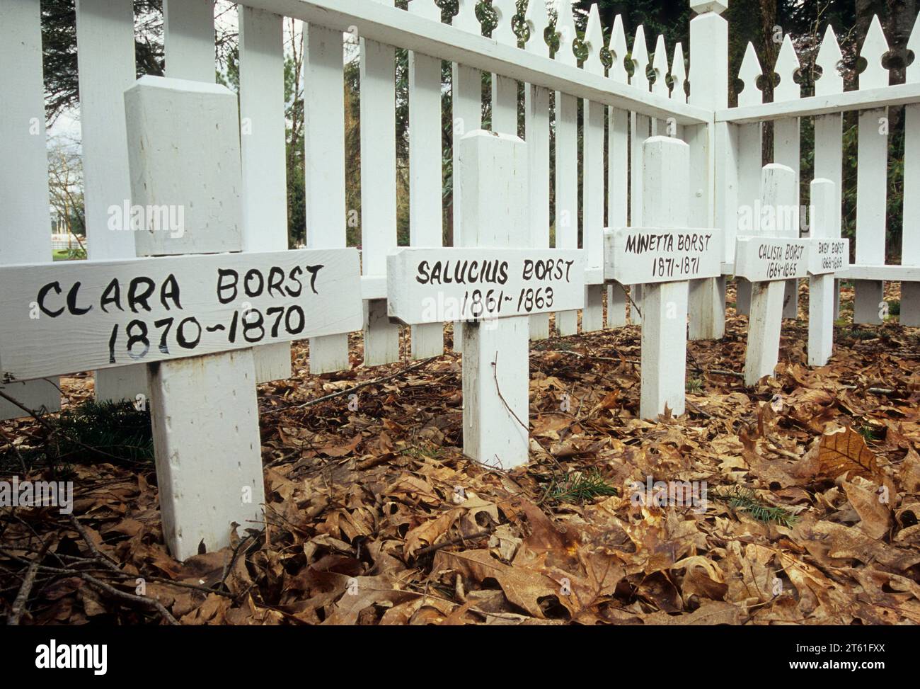 Borst hi-res stock photography and images - Alamy