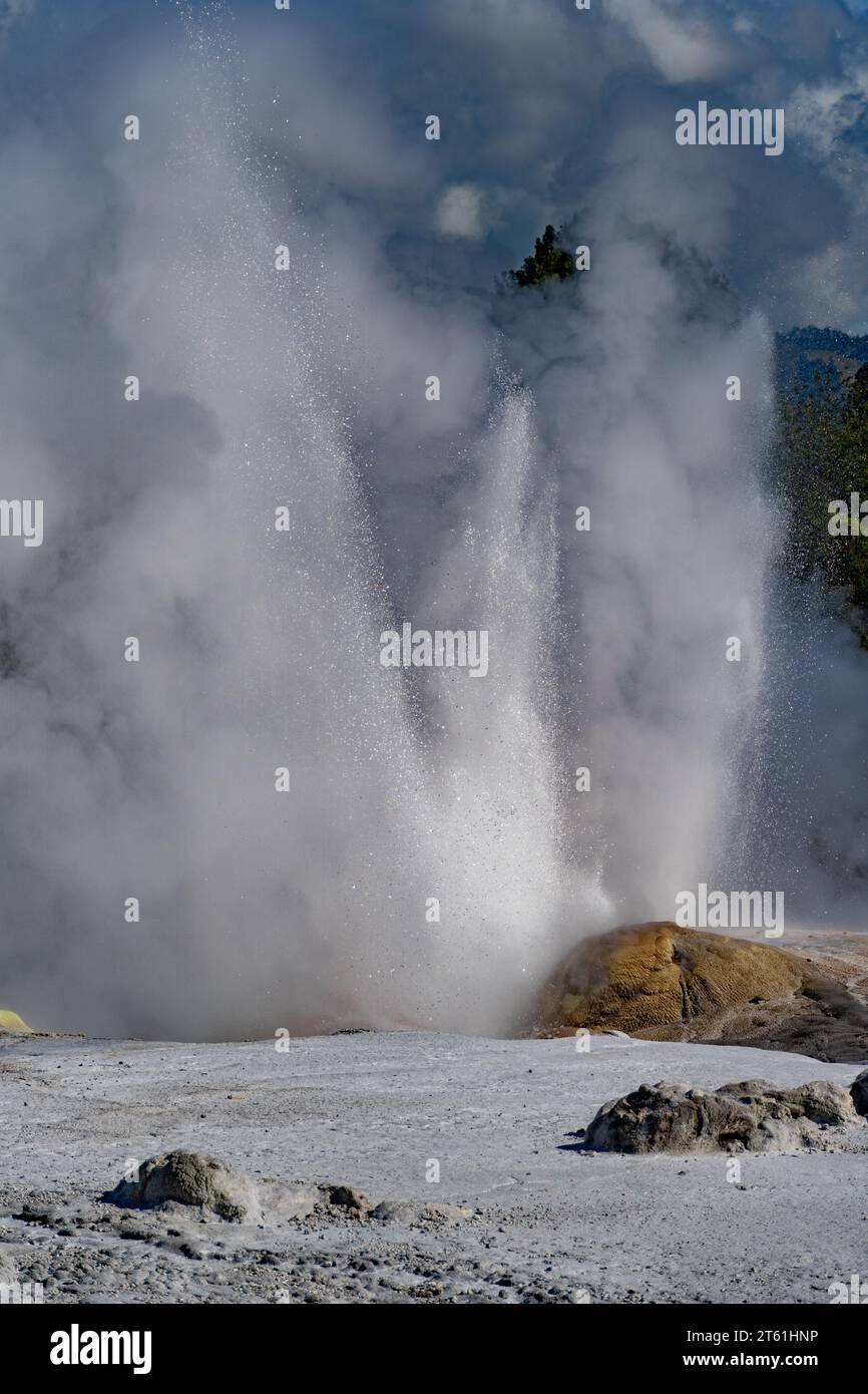 The geyser erupts and disperses a powerful stream of water into the air ...