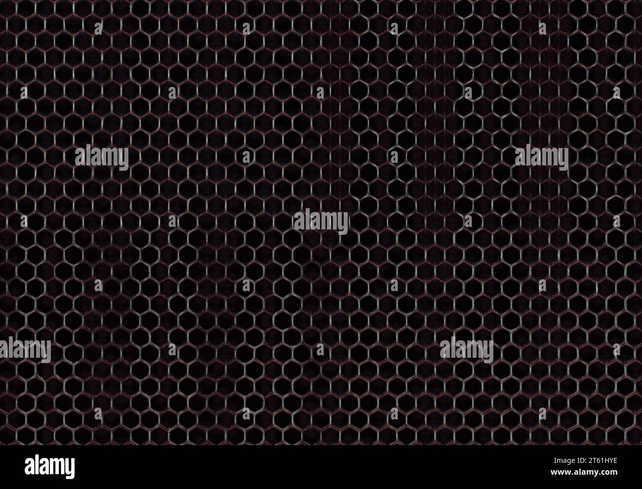 Hexagonal cells with border of vertical lines and interior with grid of white dots on black ...