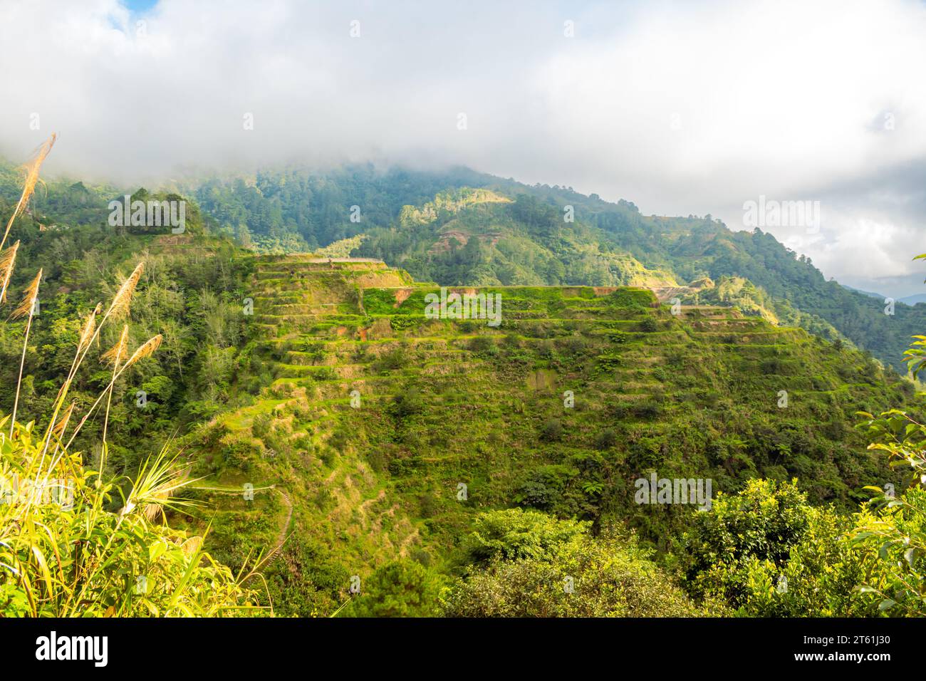 Ifugao Rice Terraces, UNESCO world heritage in Ifugao, Luzon Island ...