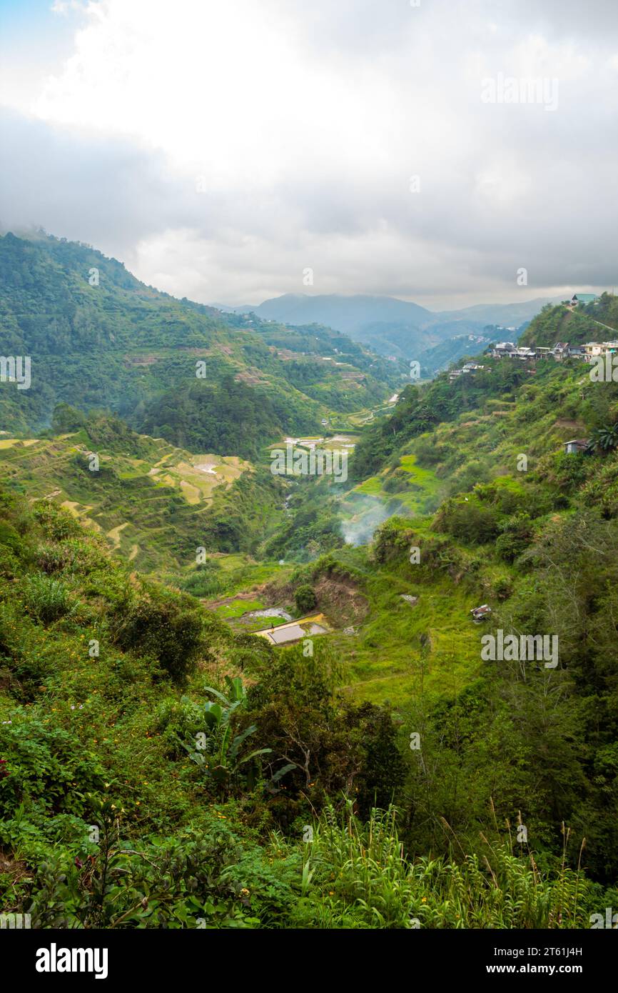Vertical image of the Ifugao Rice Terraces, UNESCO world heritage in ...