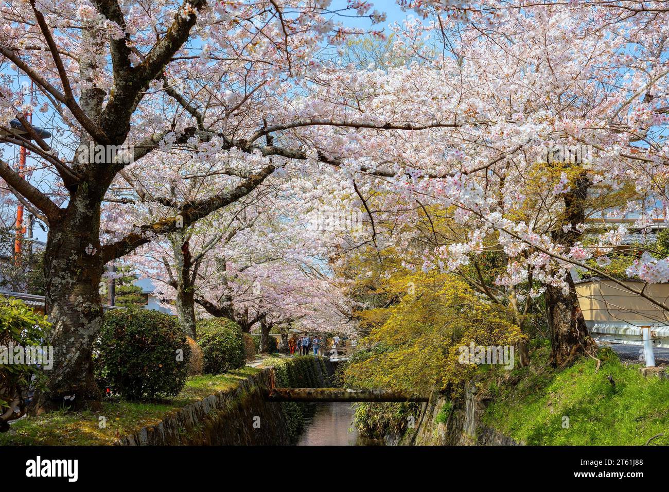Kyoto, Japan - March 30 2023: The Philosopher's Path is a stone path ...