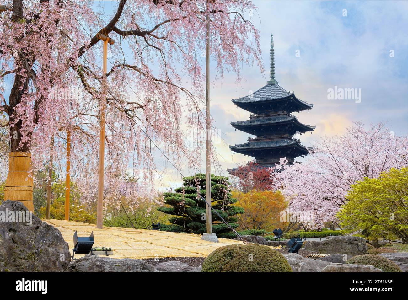 Toji temple kyoto gate hi-res stock photography and images - Alamy
