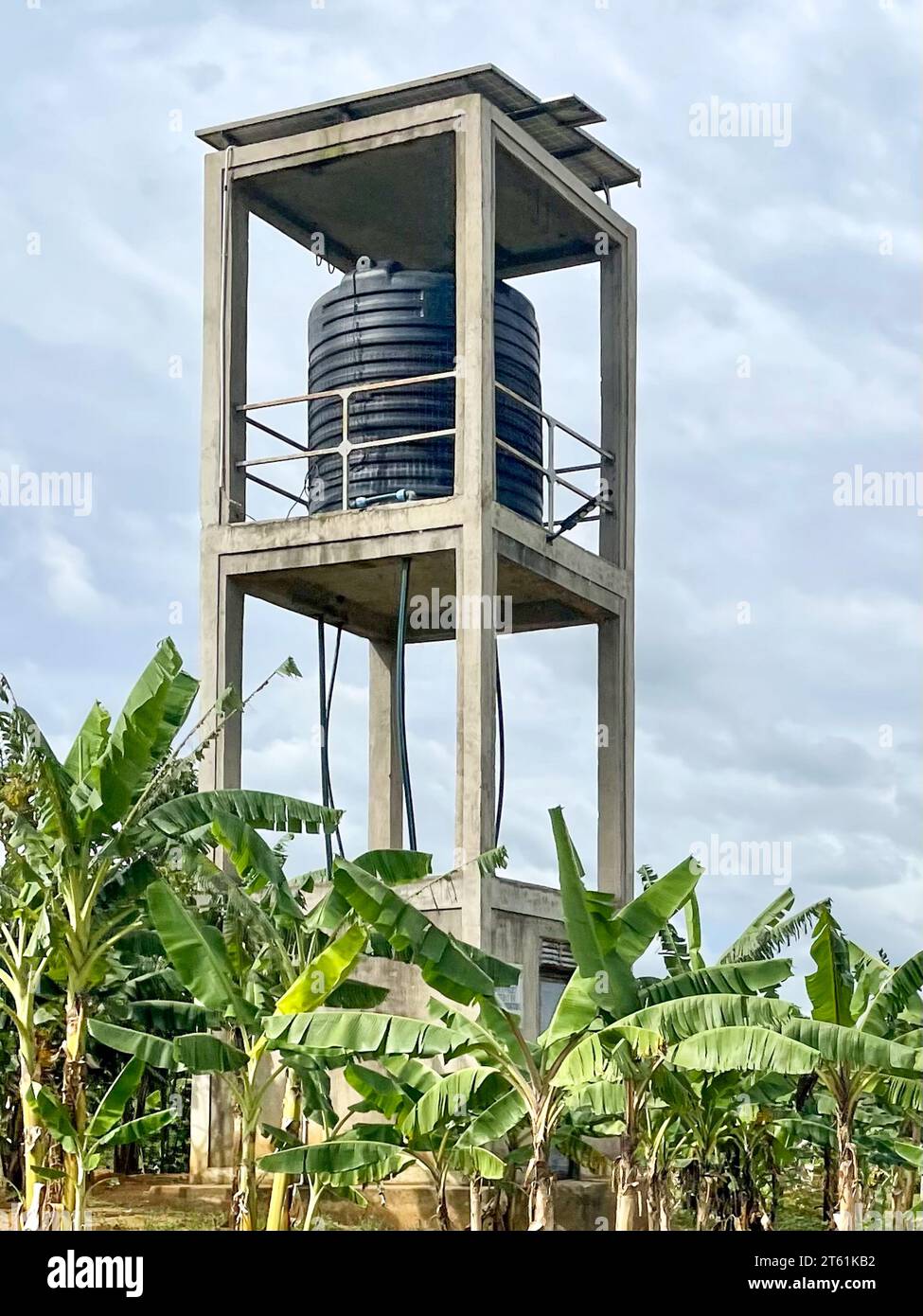 Rain Water Collection System in Uganda Stock Photo - Alamy