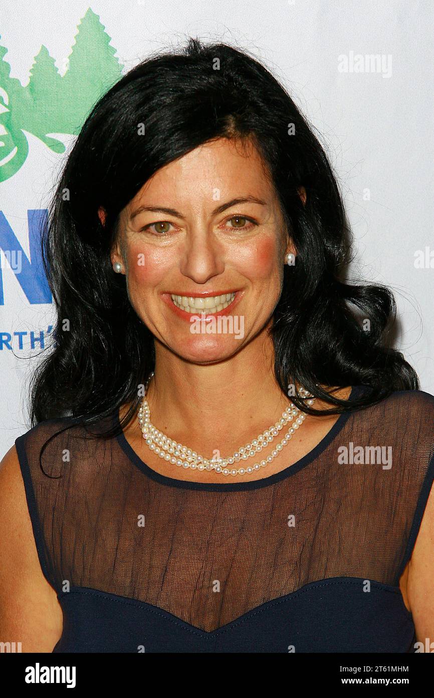 Laurie David at the 20th Anniversary Celebration of NRDC - Arrivals ...