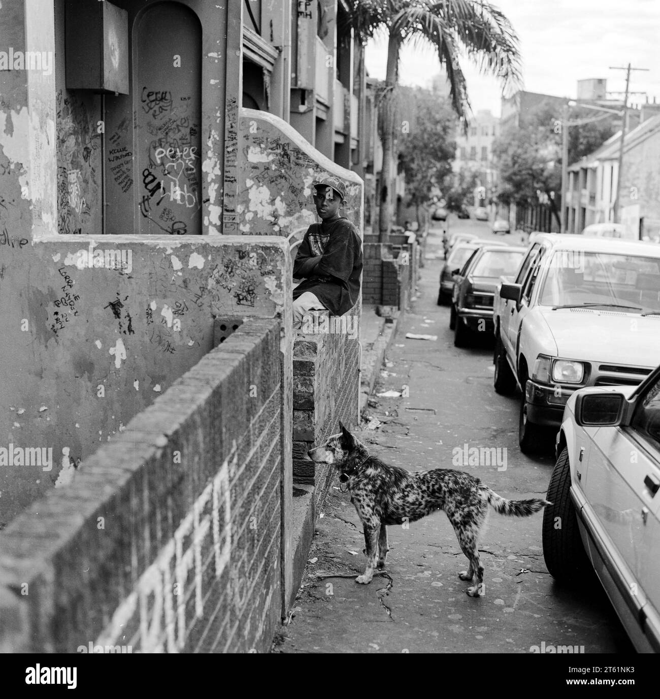 Redfern is an inner Sydney suburb. It first started to attract ...