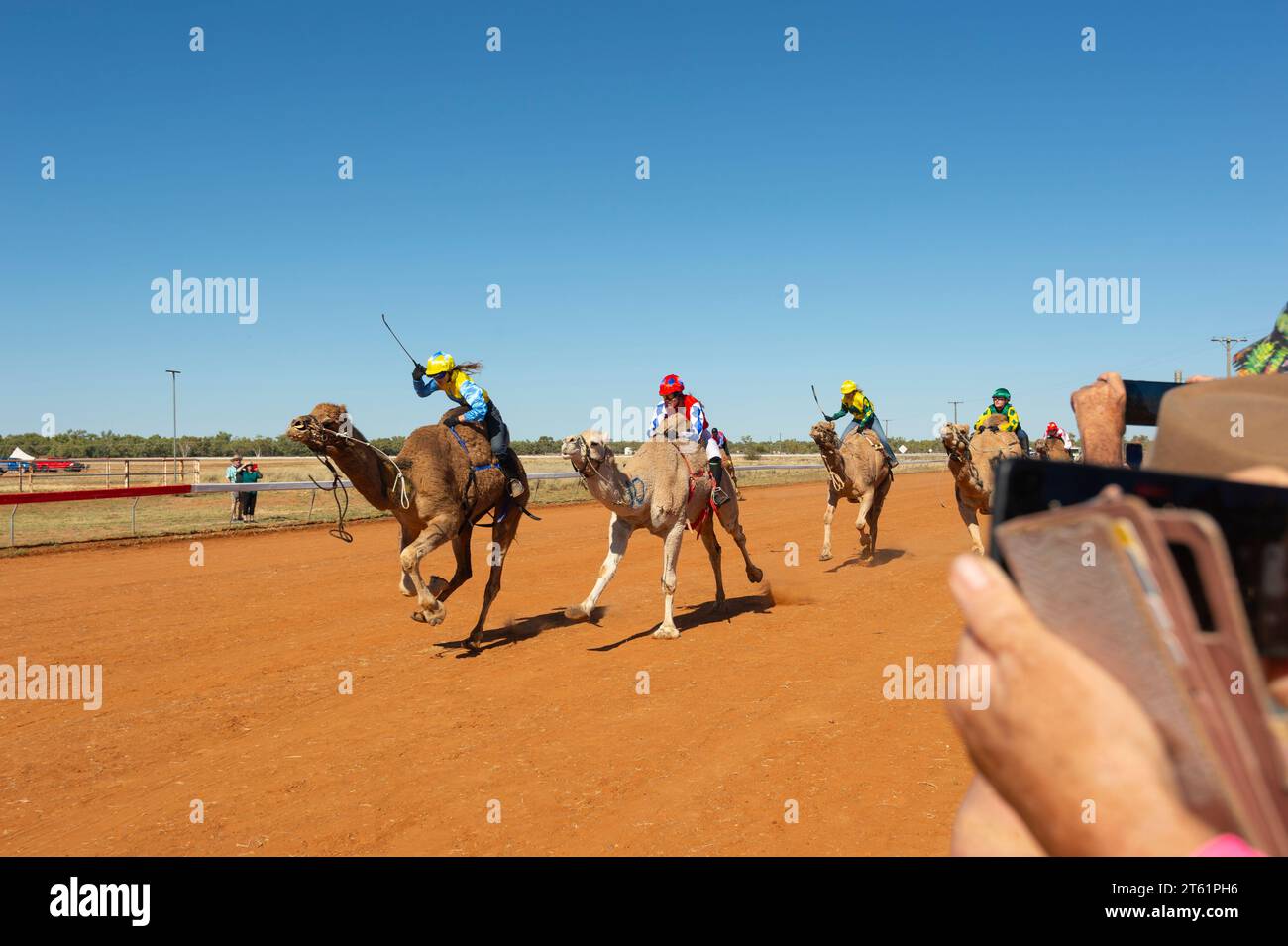 Camel racing at Boulia, a popular fun Outback event in Queensland, QLD ...