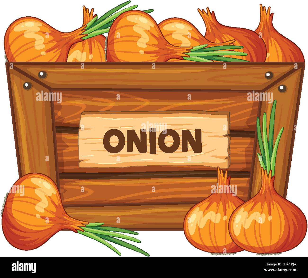 Vector cartoon illustration of an onion in a wooden box with a sign ...