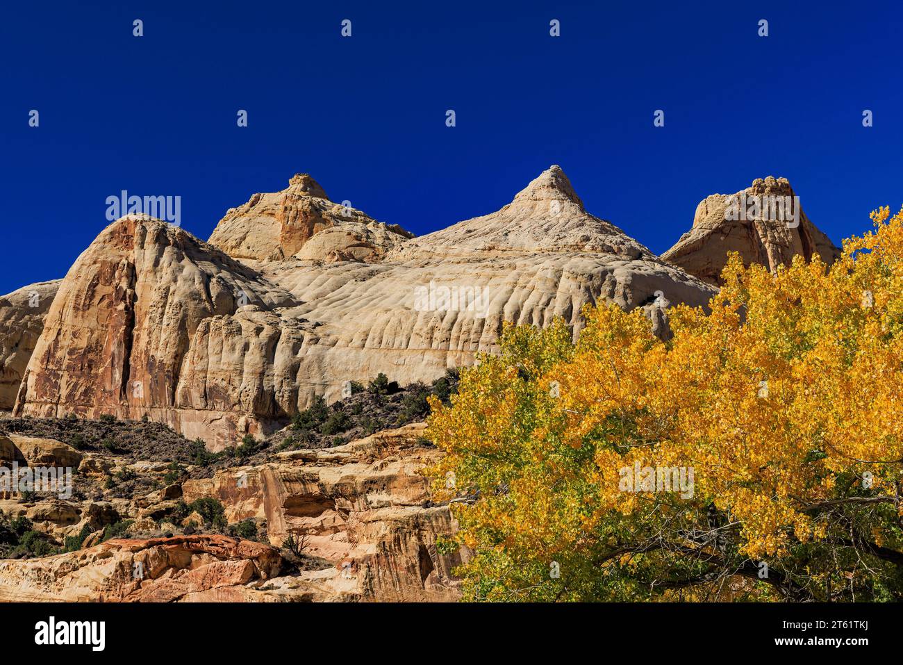 This is a view of Navajo Dome (right of center) an iconic light-colored ...