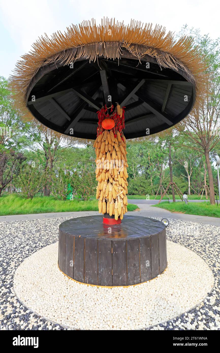 Chinese style pavilion Stock Photo - Alamy