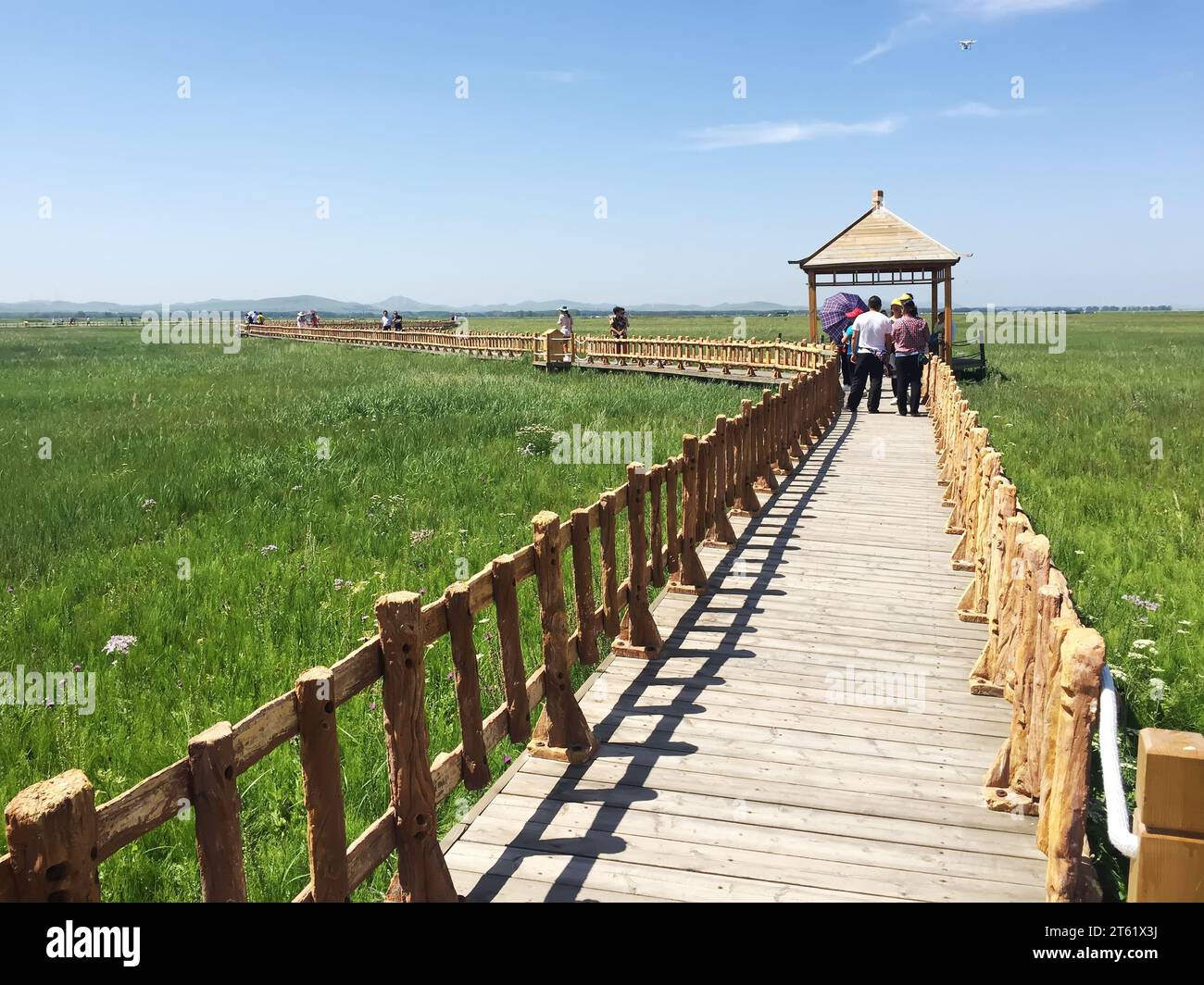 China wetland park hi-res stock photography and images - Alamy